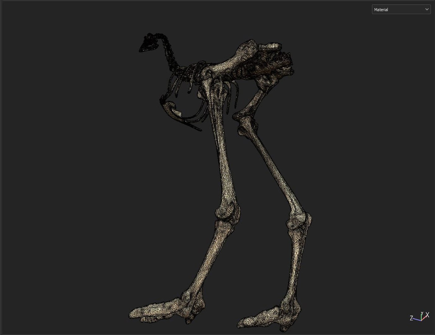3D Dinosaur Fossil Model - TurboSquid 2246225