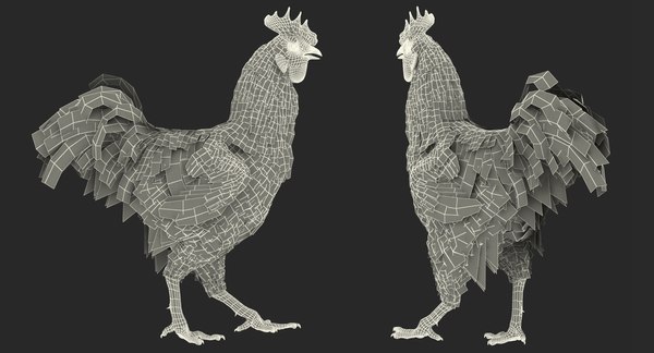 brown hen rigged 3d max