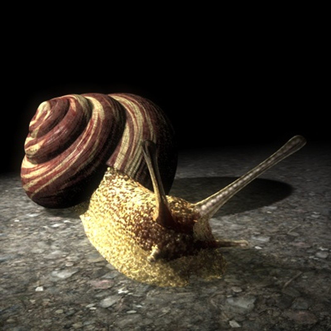 3d Model Snail Shaders Materials