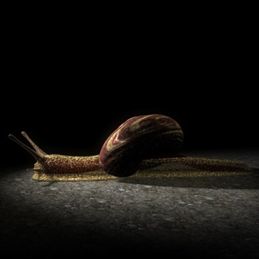 3d Model Snail Shaders Materials
