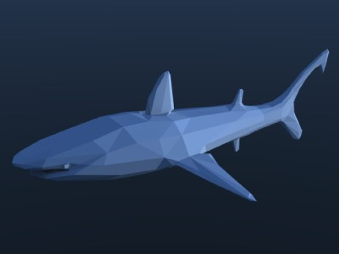 Shark 3d Model