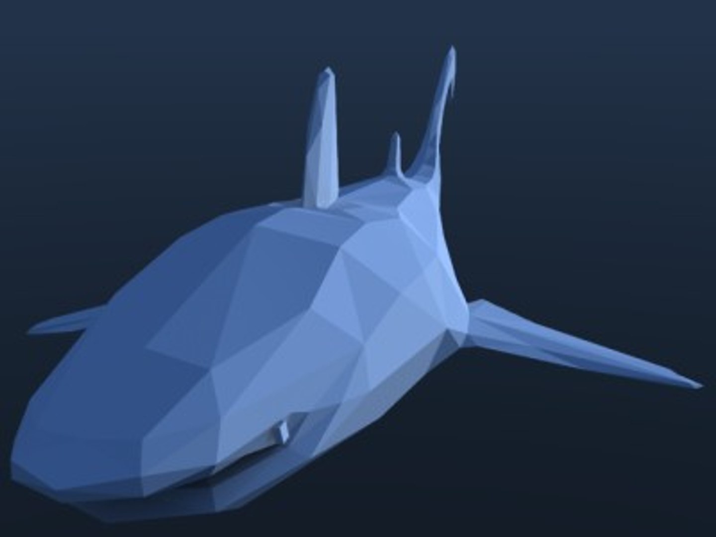 Shark 3d Model
