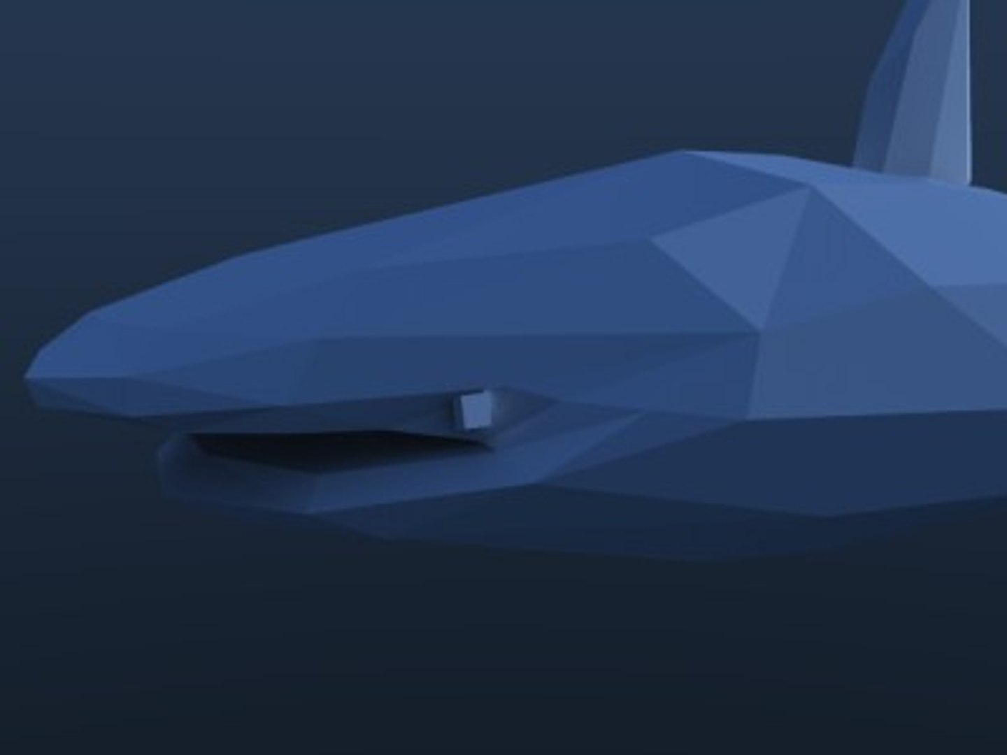 Shark 3d Model