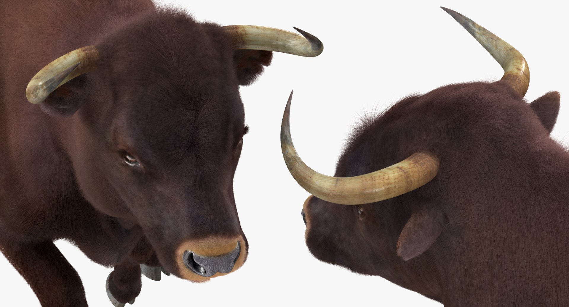 3D Bull Running Pose Fur - TurboSquid 1223728