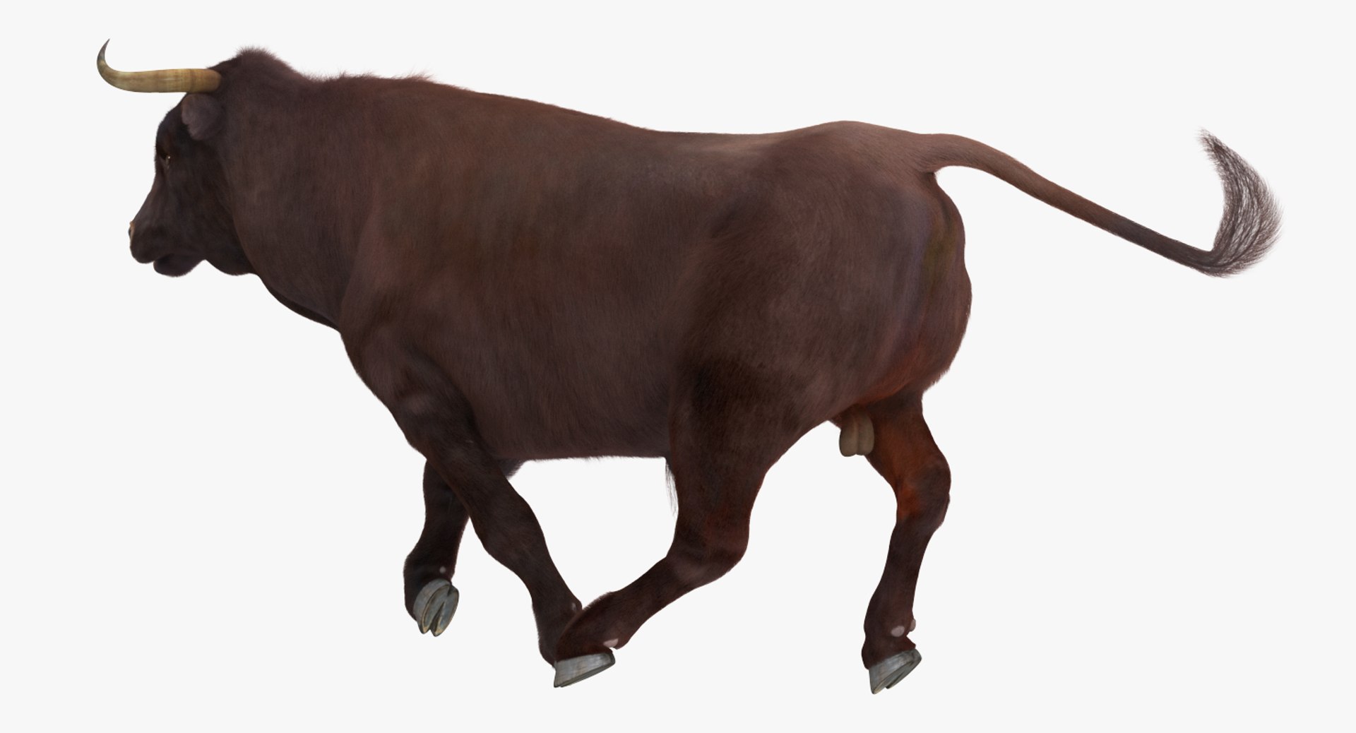 3D Bull Running Pose Fur - TurboSquid 1223728