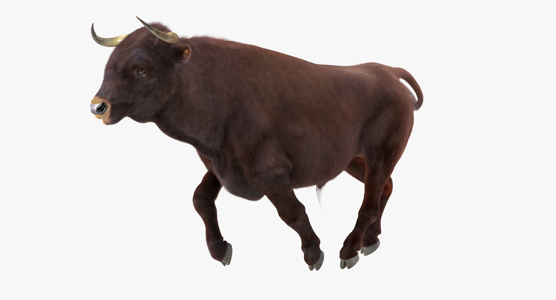 3D Bull Running Pose Fur - TurboSquid 1223728