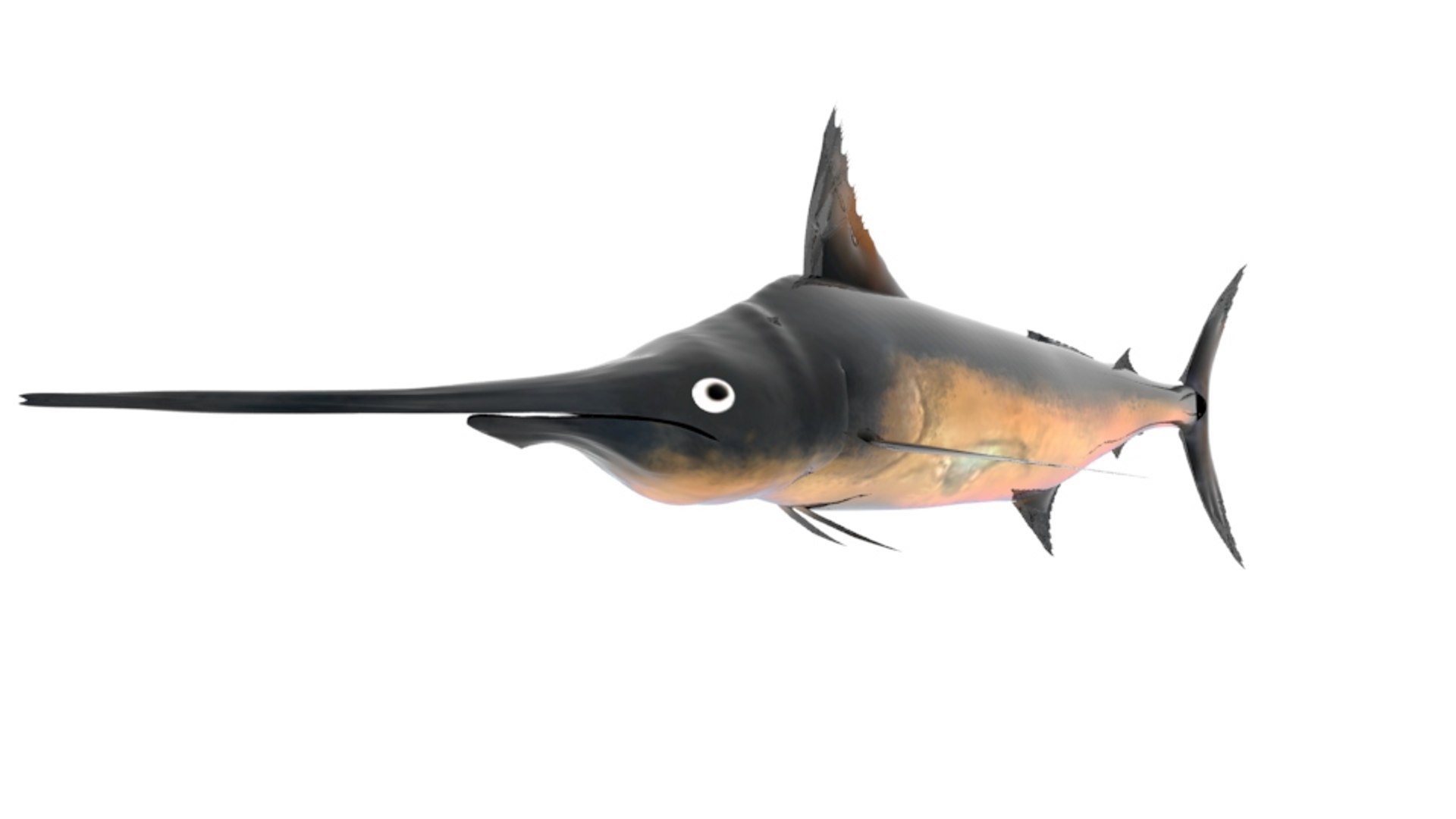 Sword Fish 3D Model - TurboSquid 1625205