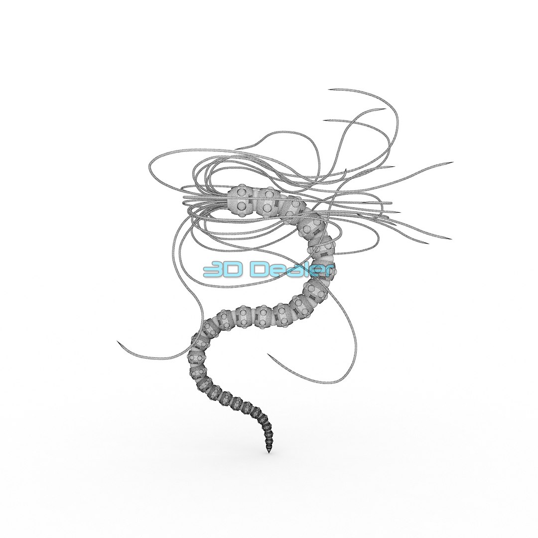 3d Model Cyber Worm