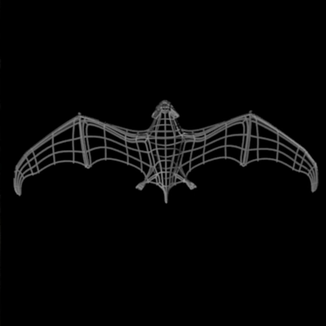 Bat Animal 3d Model