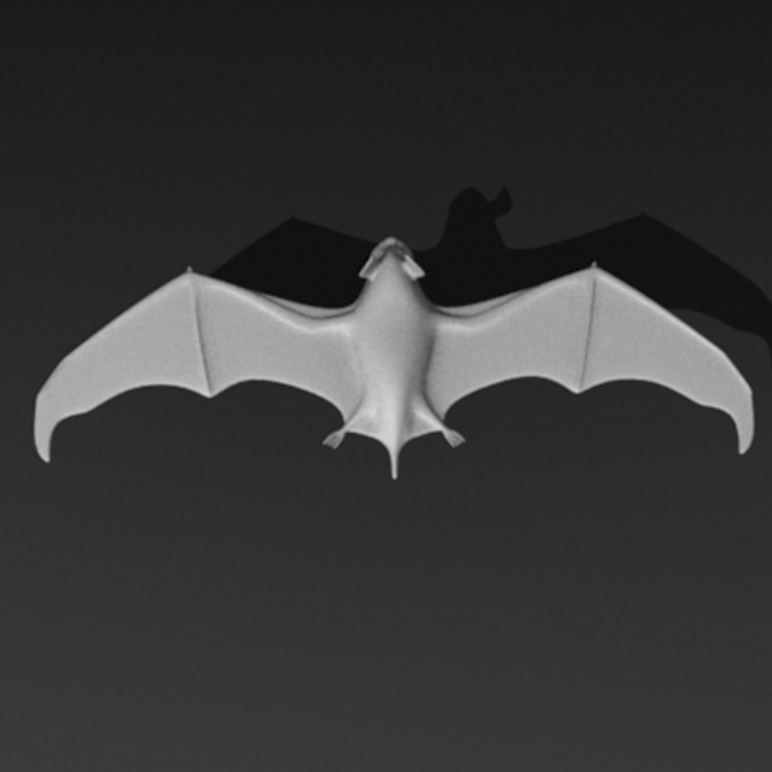 Bat Animal 3d Model