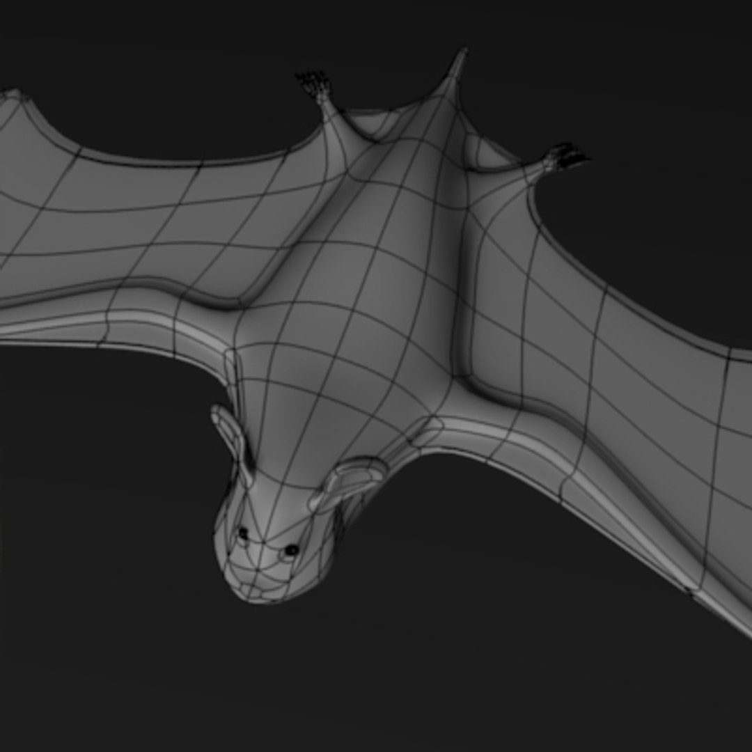 Bat Animal 3d Model