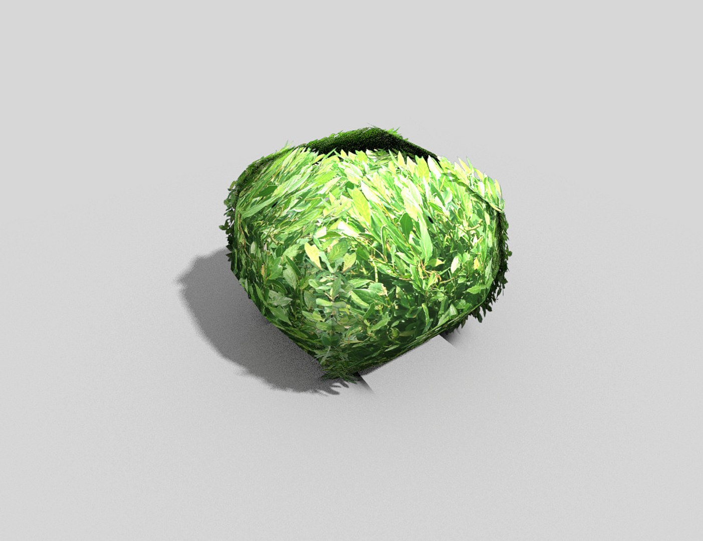 Shrub Games 3d Model
