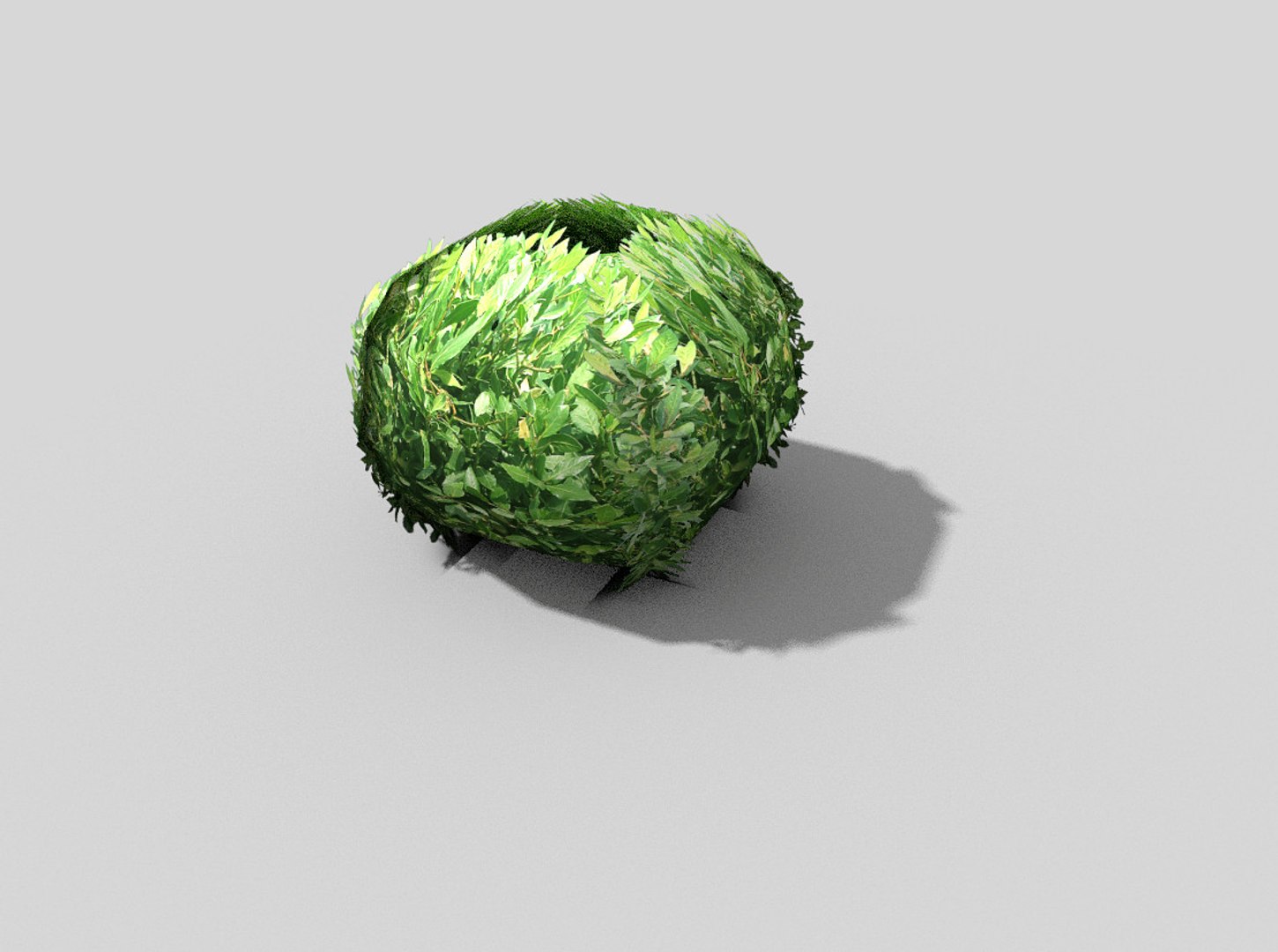 Shrub Games 3d Model