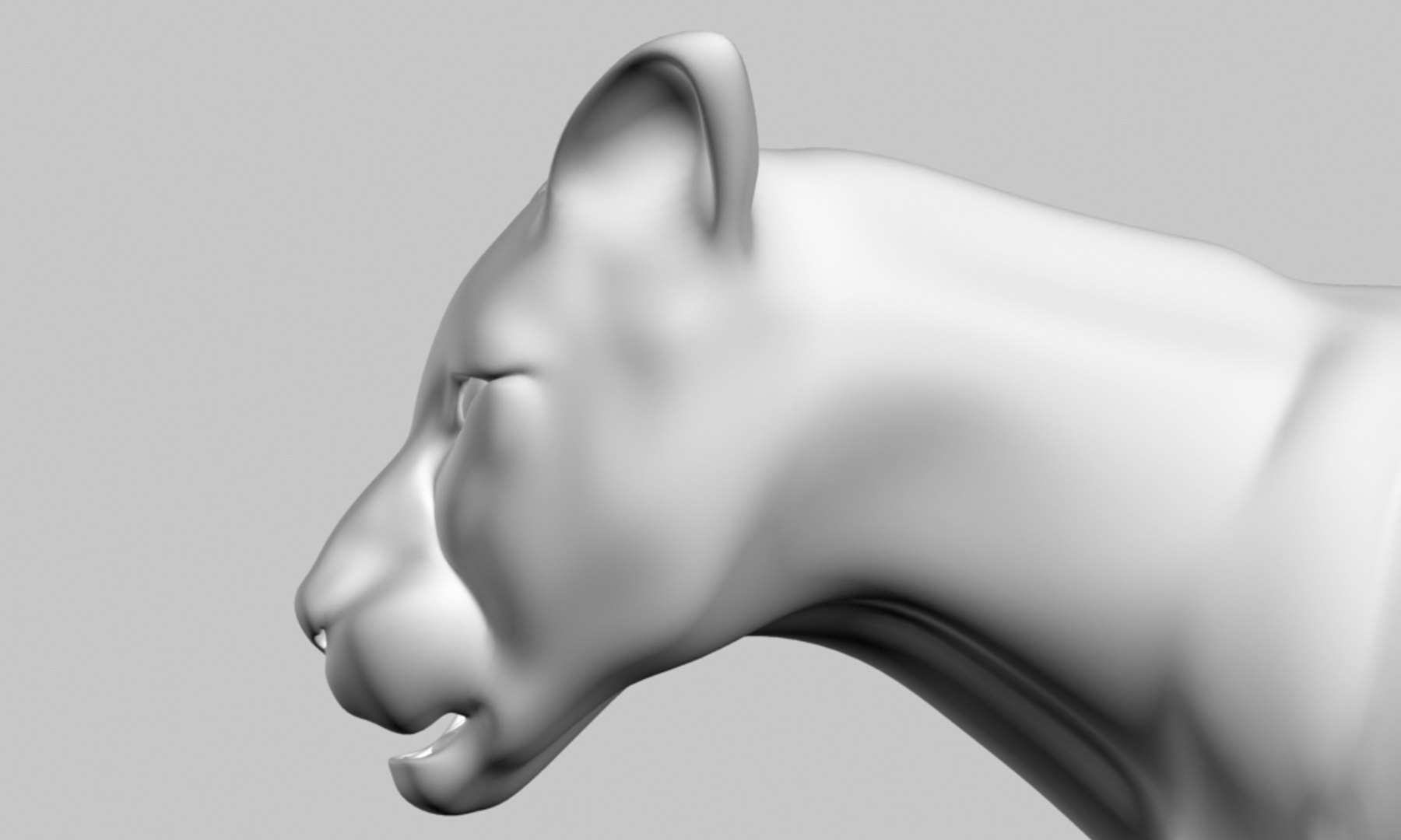 Leopard Cat 3d Obj
