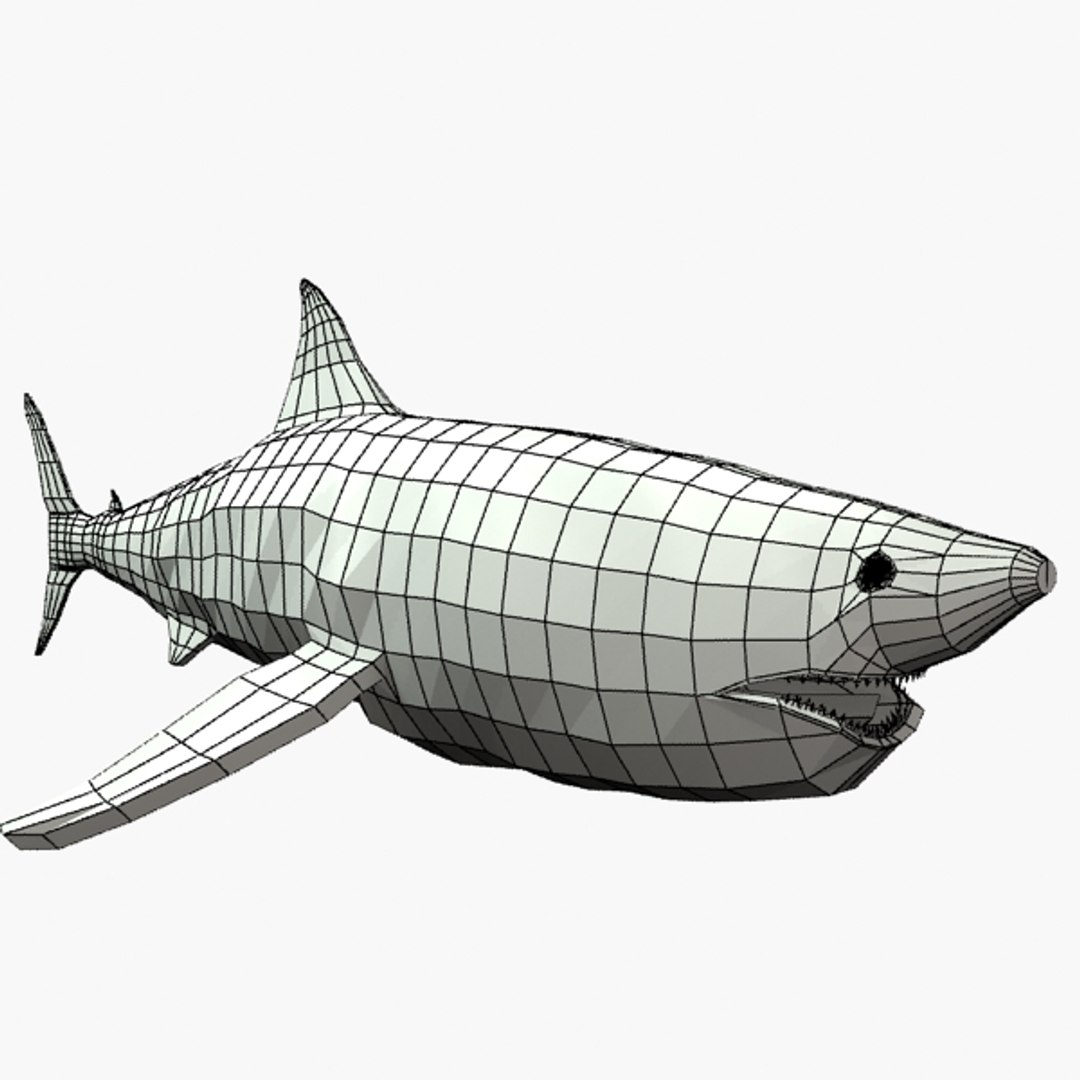 3d Great White Shark