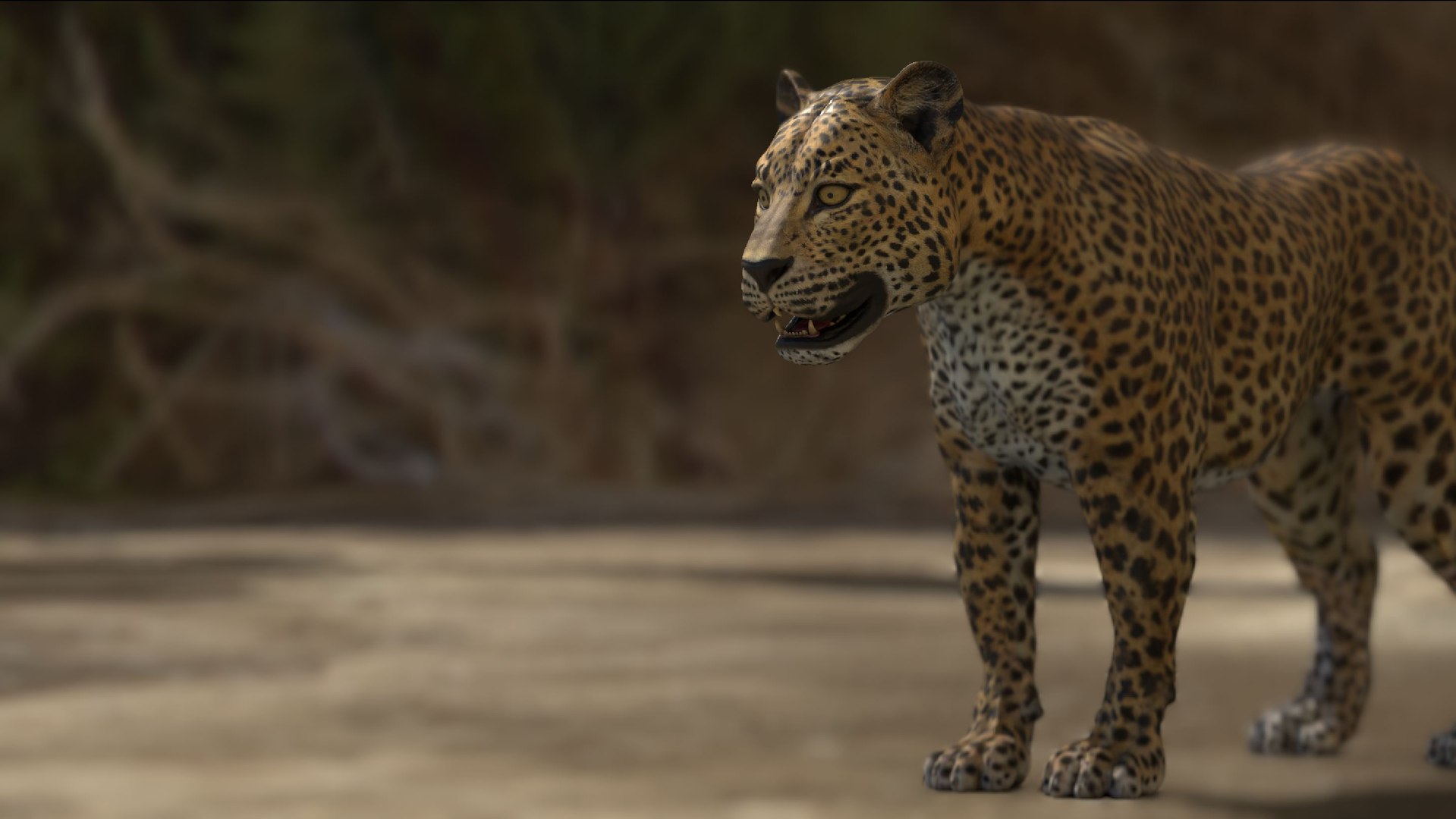 Asian Leopard 3D Model - TurboSquid 2246185