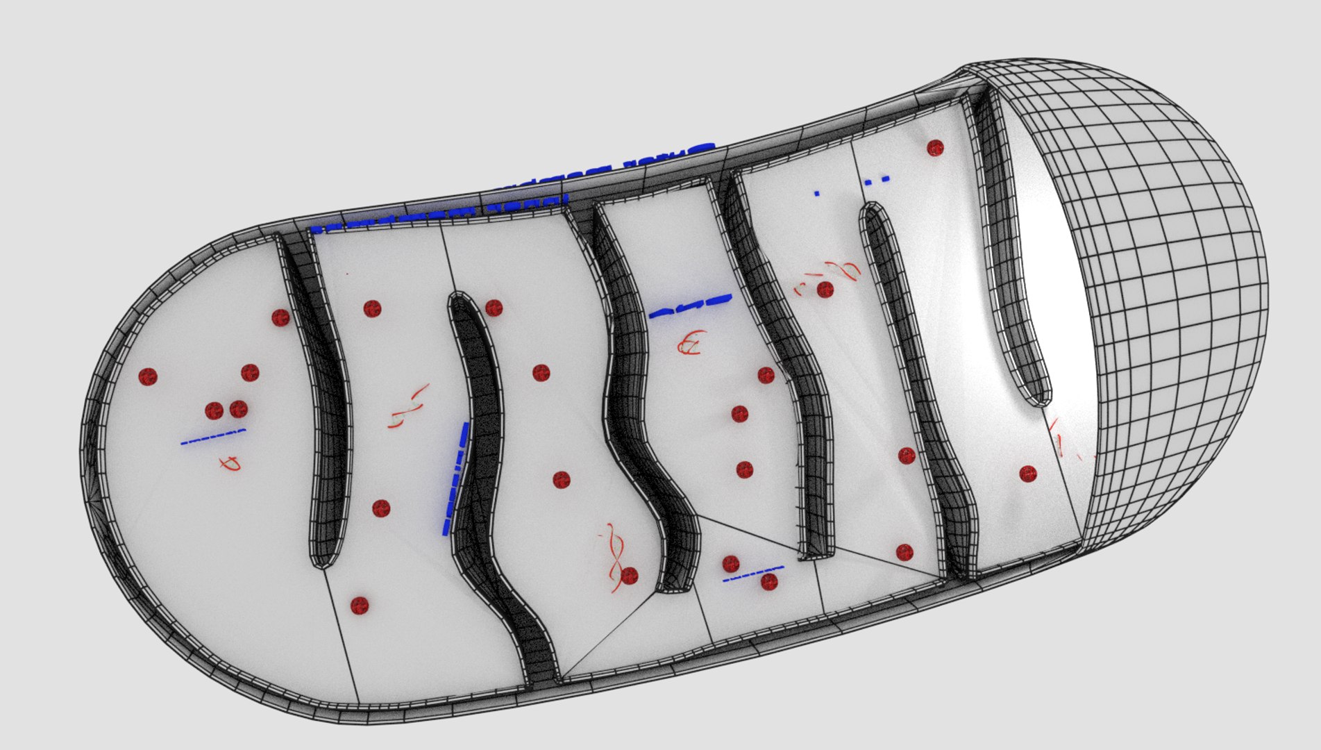 Mitochondria Labelled 3D Model - TurboSquid 1417524