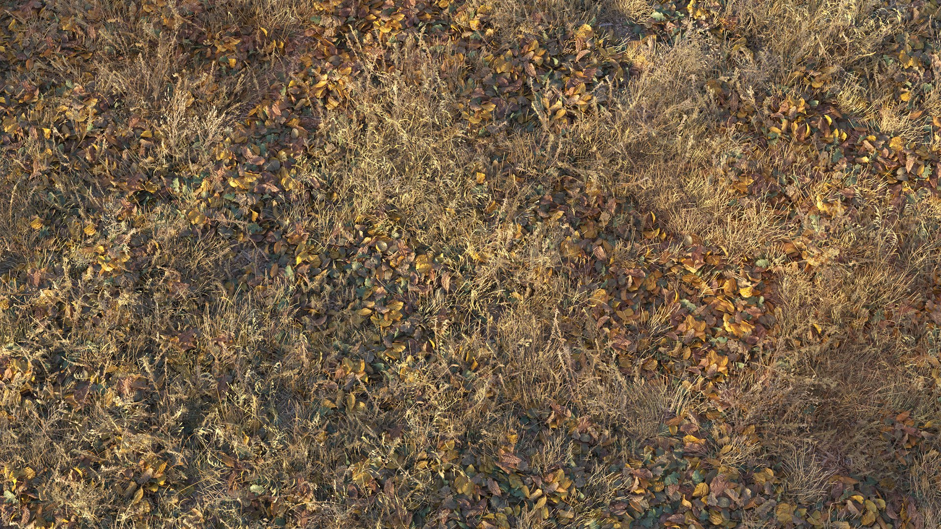 Grass Dry 3D - TurboSquid 1709847