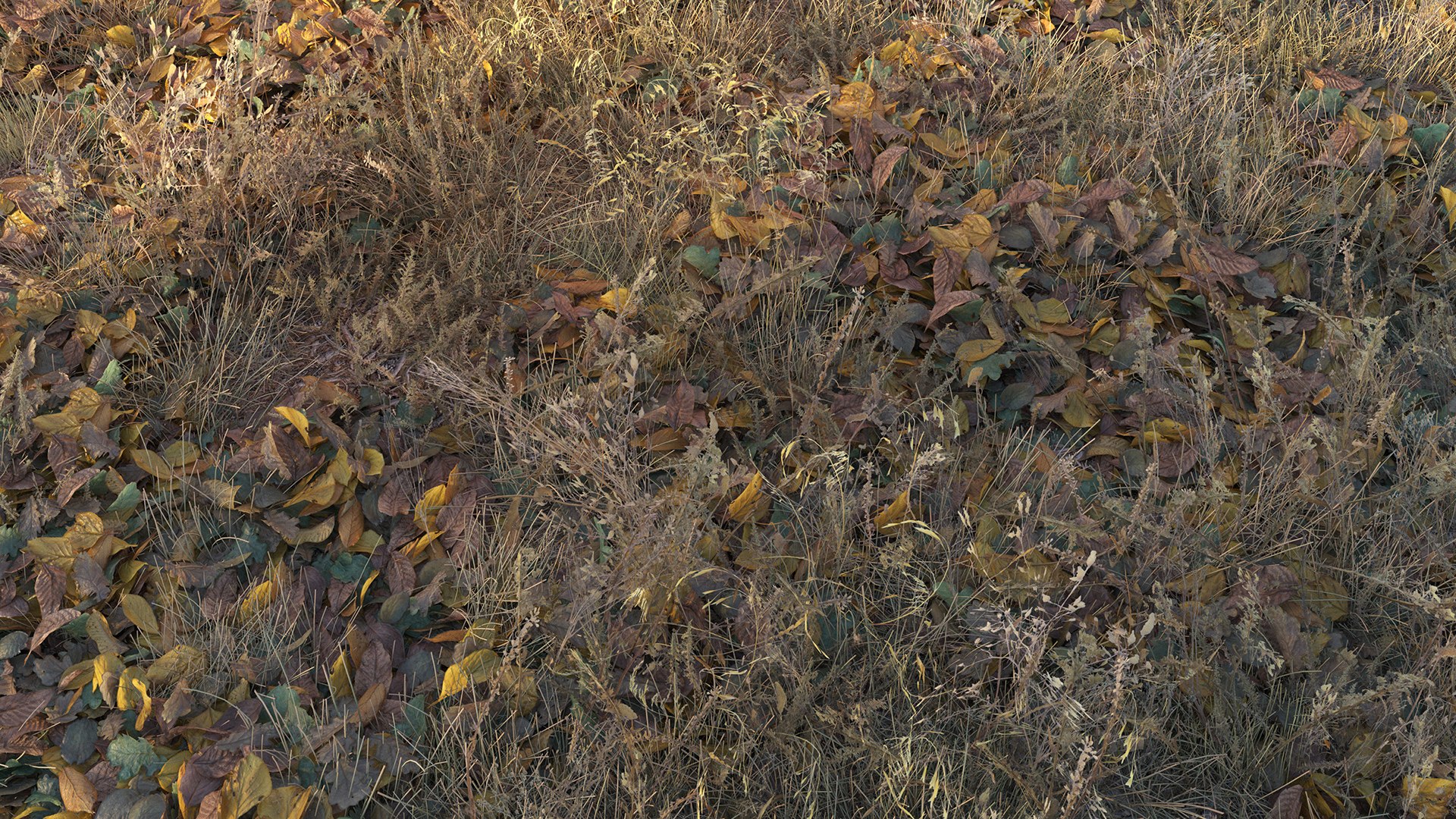 Grass Dry 3D - TurboSquid 1709847