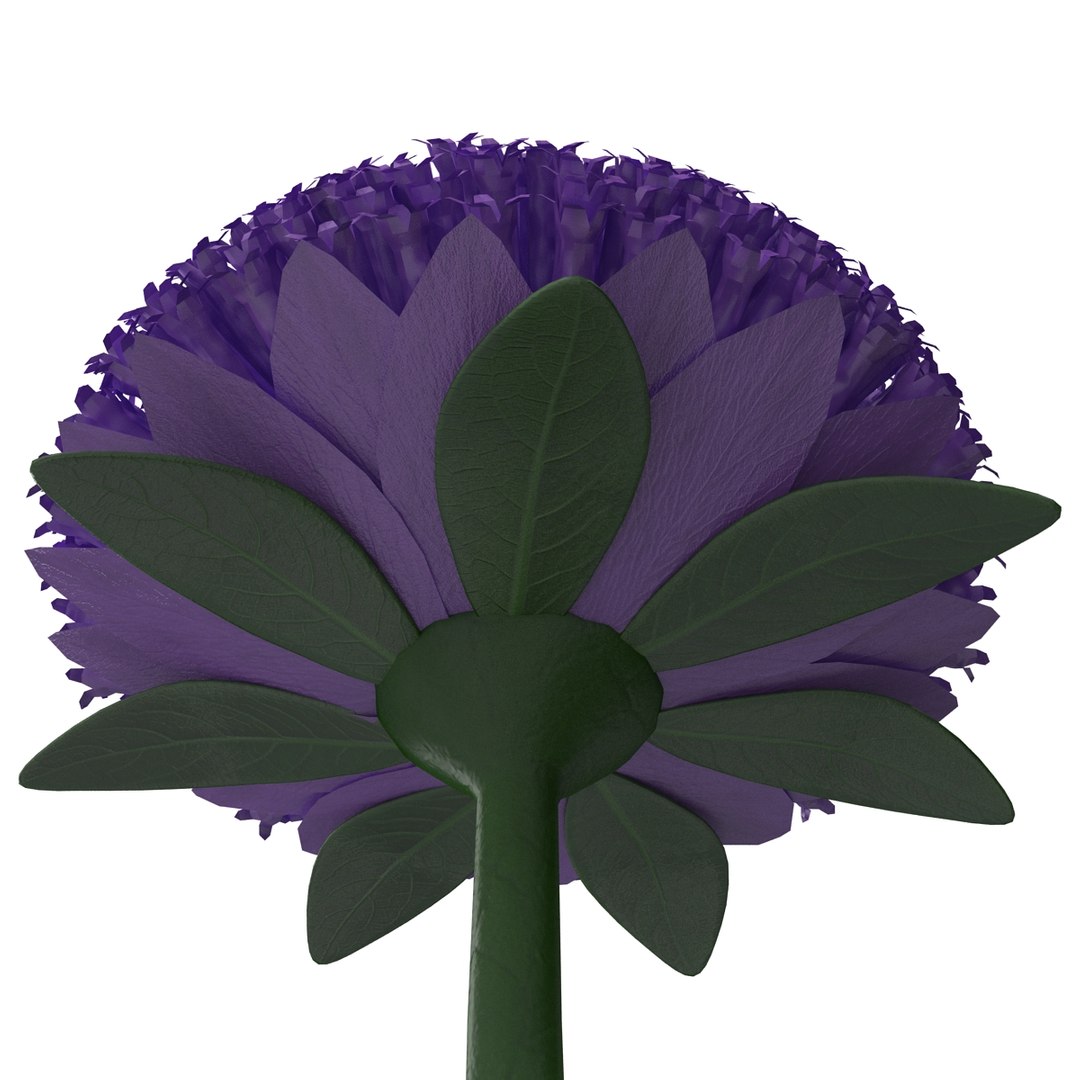 3d Model Aster Flower