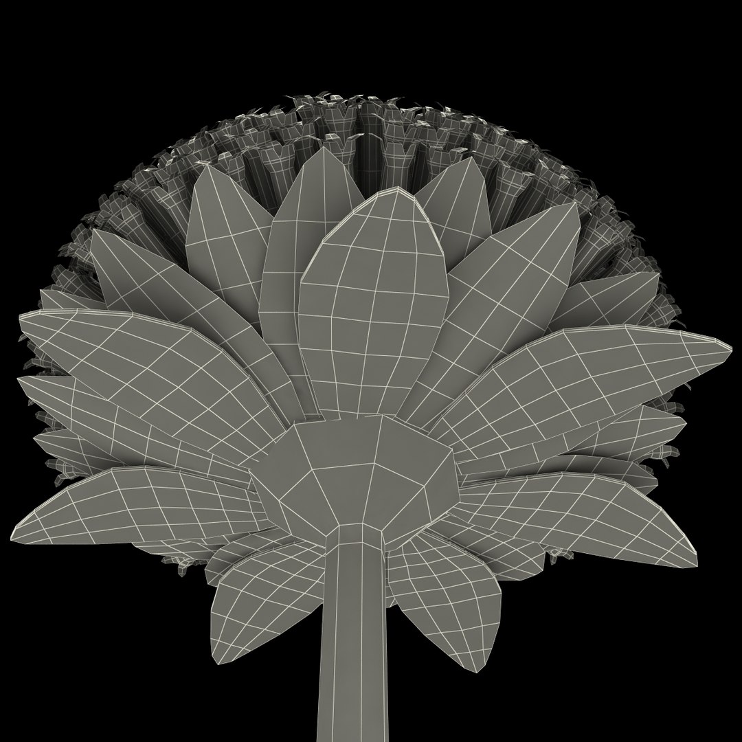 3d Model Aster Flower