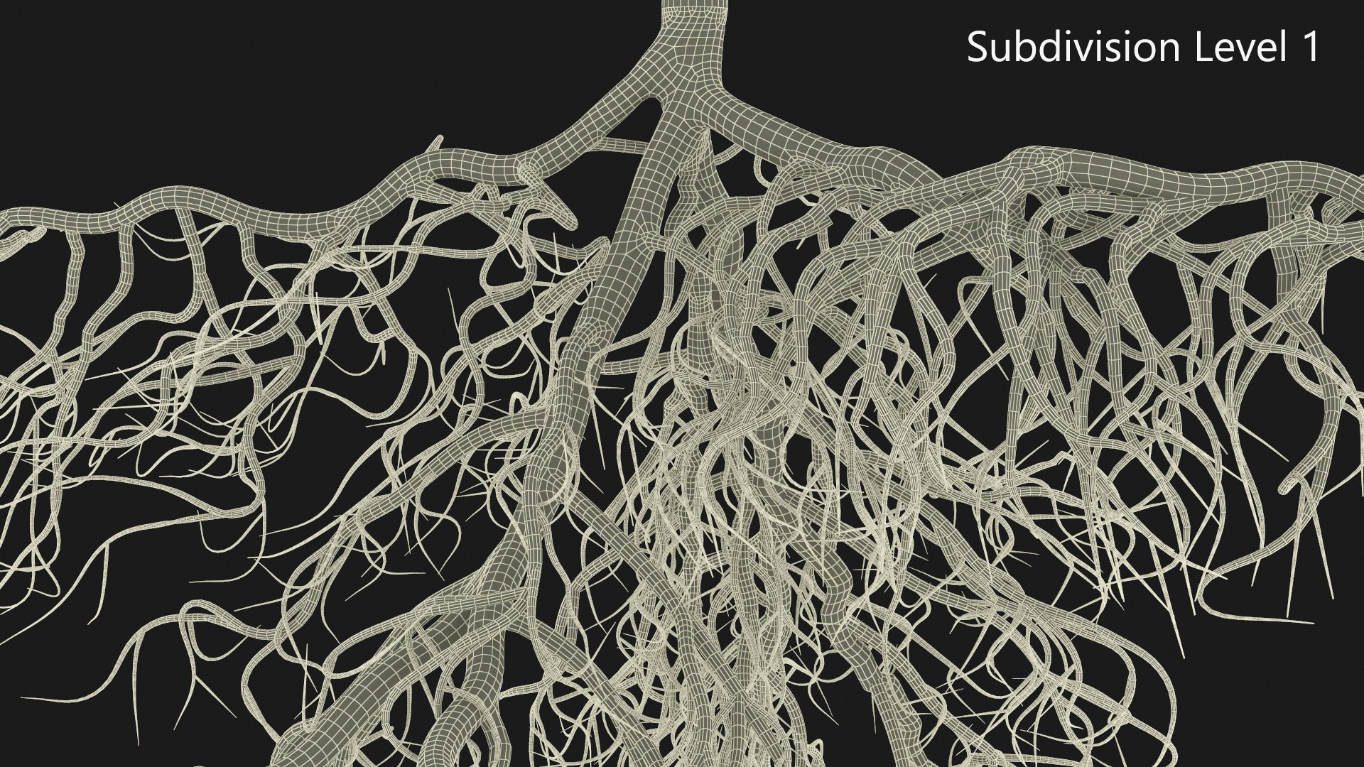 3D Poplar Tree With Roots - TurboSquid 2325165