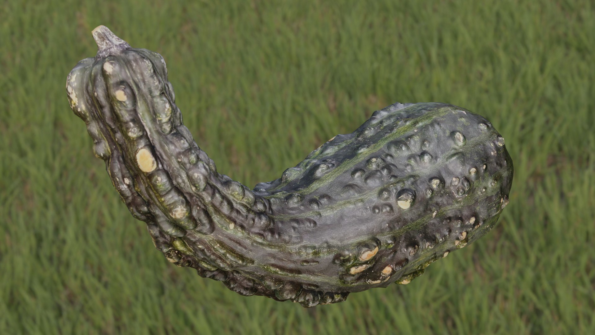 Gourd 3D - TurboSquid 1971416