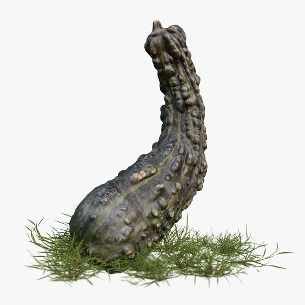 Gourd 3D - TurboSquid 1971416