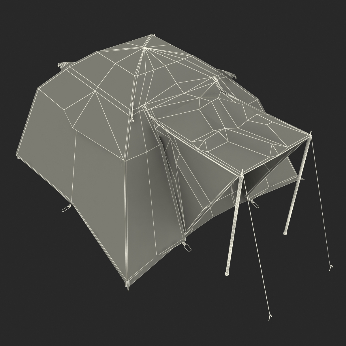 camping 2 3d model