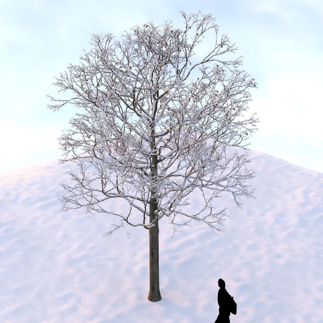 3d Winter Tree Model