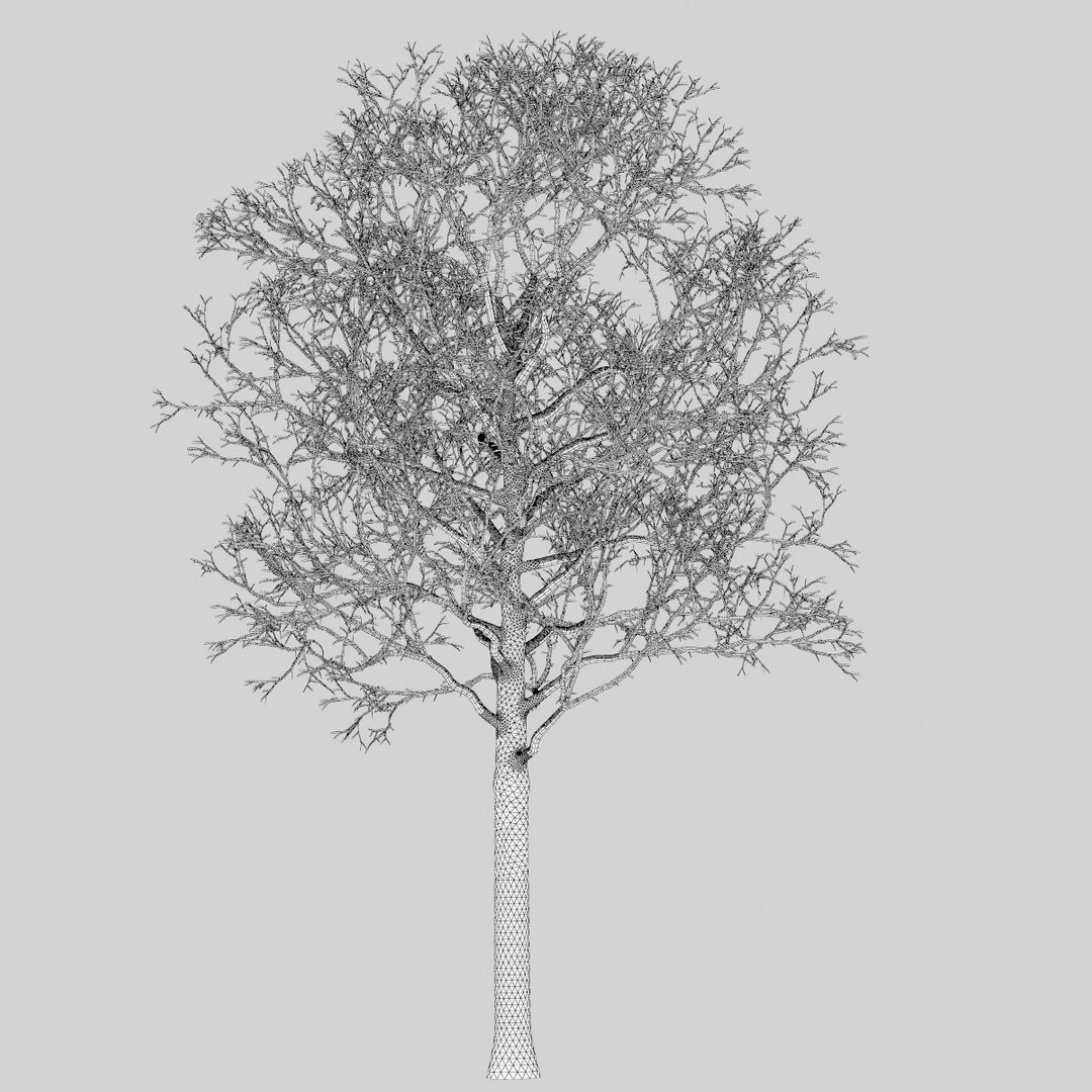 3d Winter Tree Model