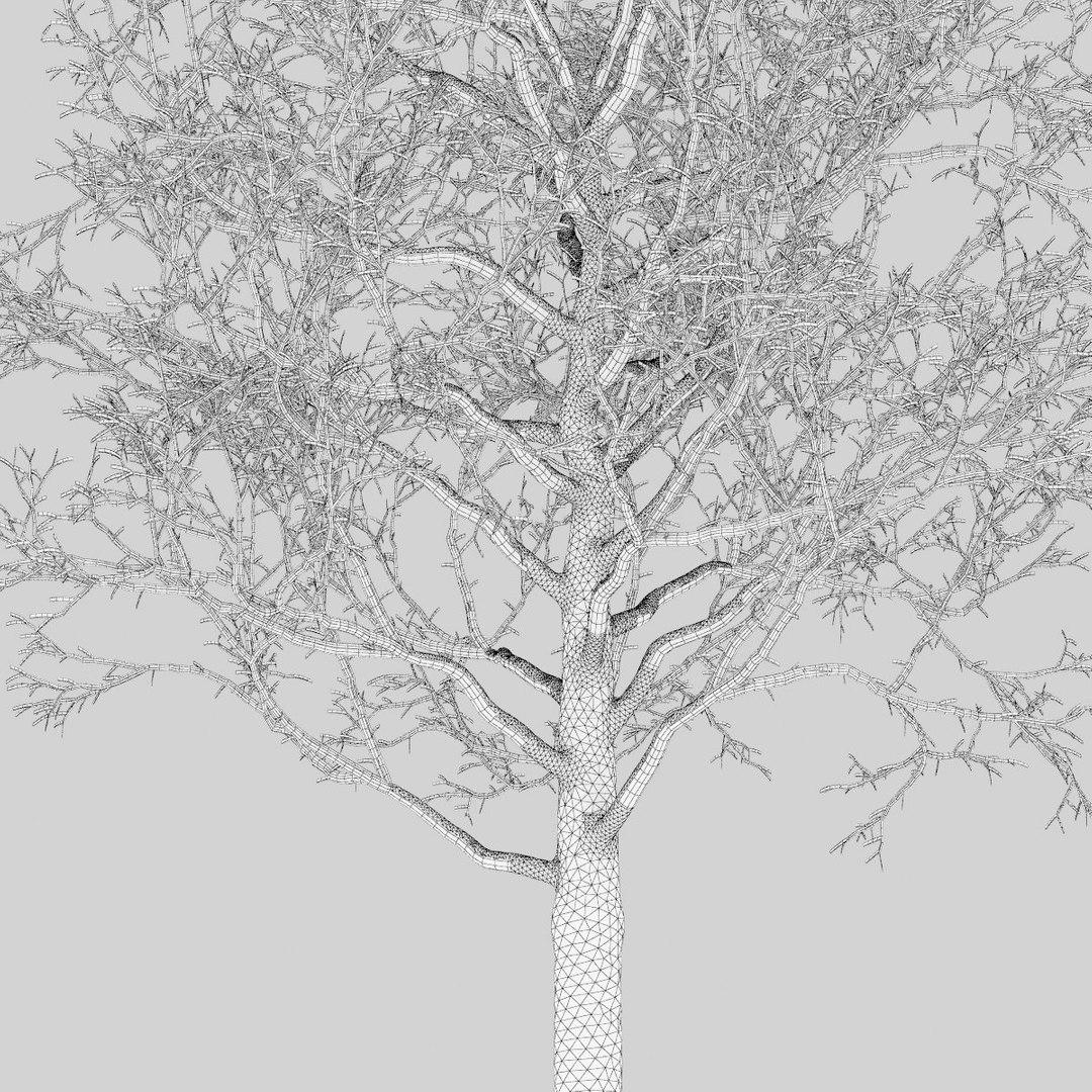 3d Winter Tree Model