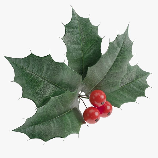 3d holly leaf