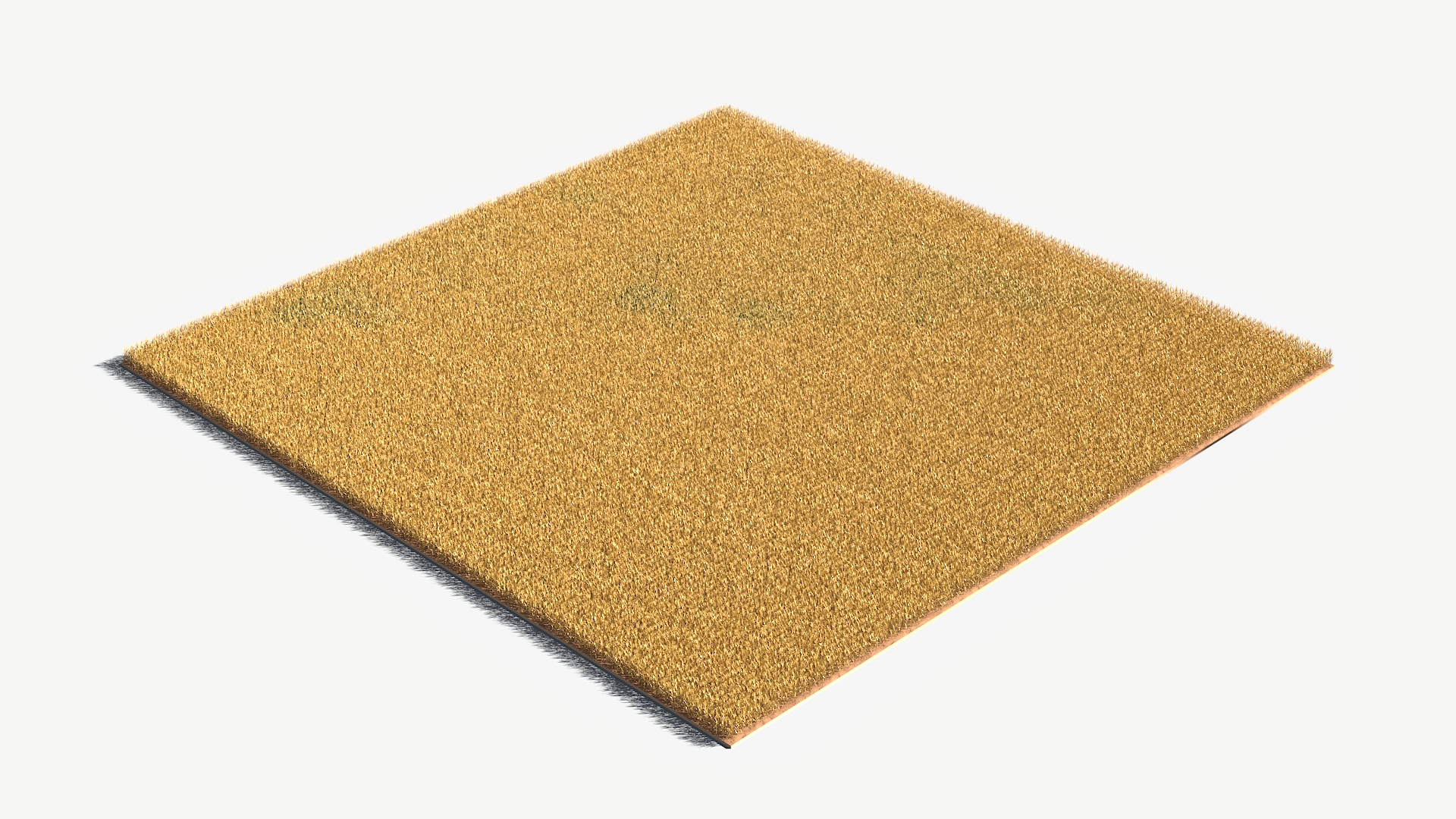 Flat Corn Plantation Field Dry 3D Model - TurboSquid 2466610