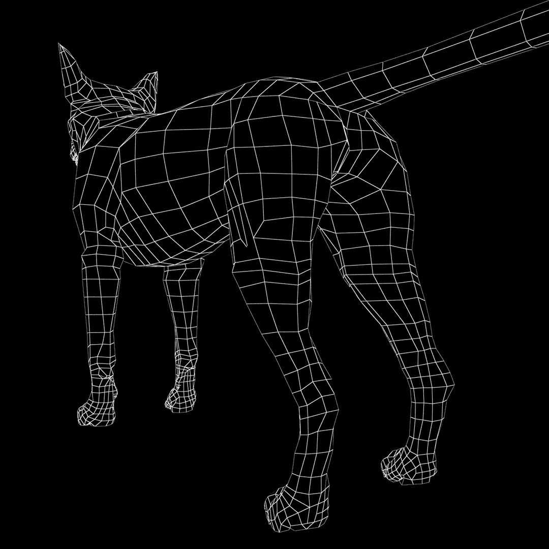 Kelpie Australian Dog 3d Obj