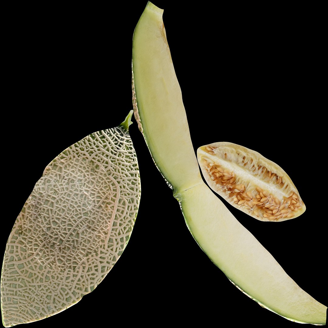 Melon Model - TurboSquid 1777505