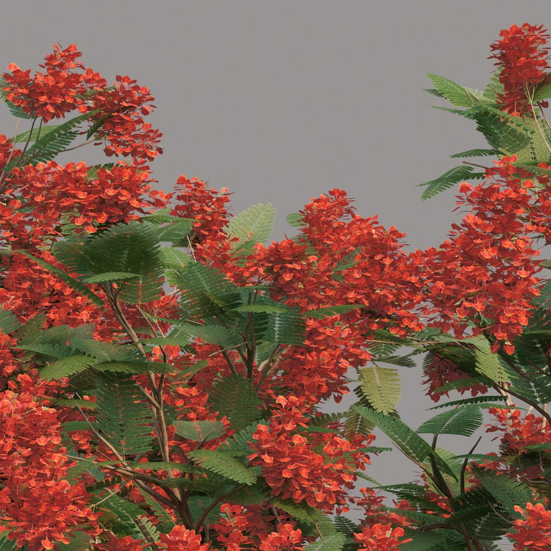Tree flowers 3D - TurboSquid 1598300