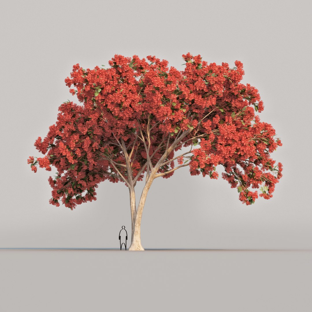 Tree flowers 3D - TurboSquid 1598300