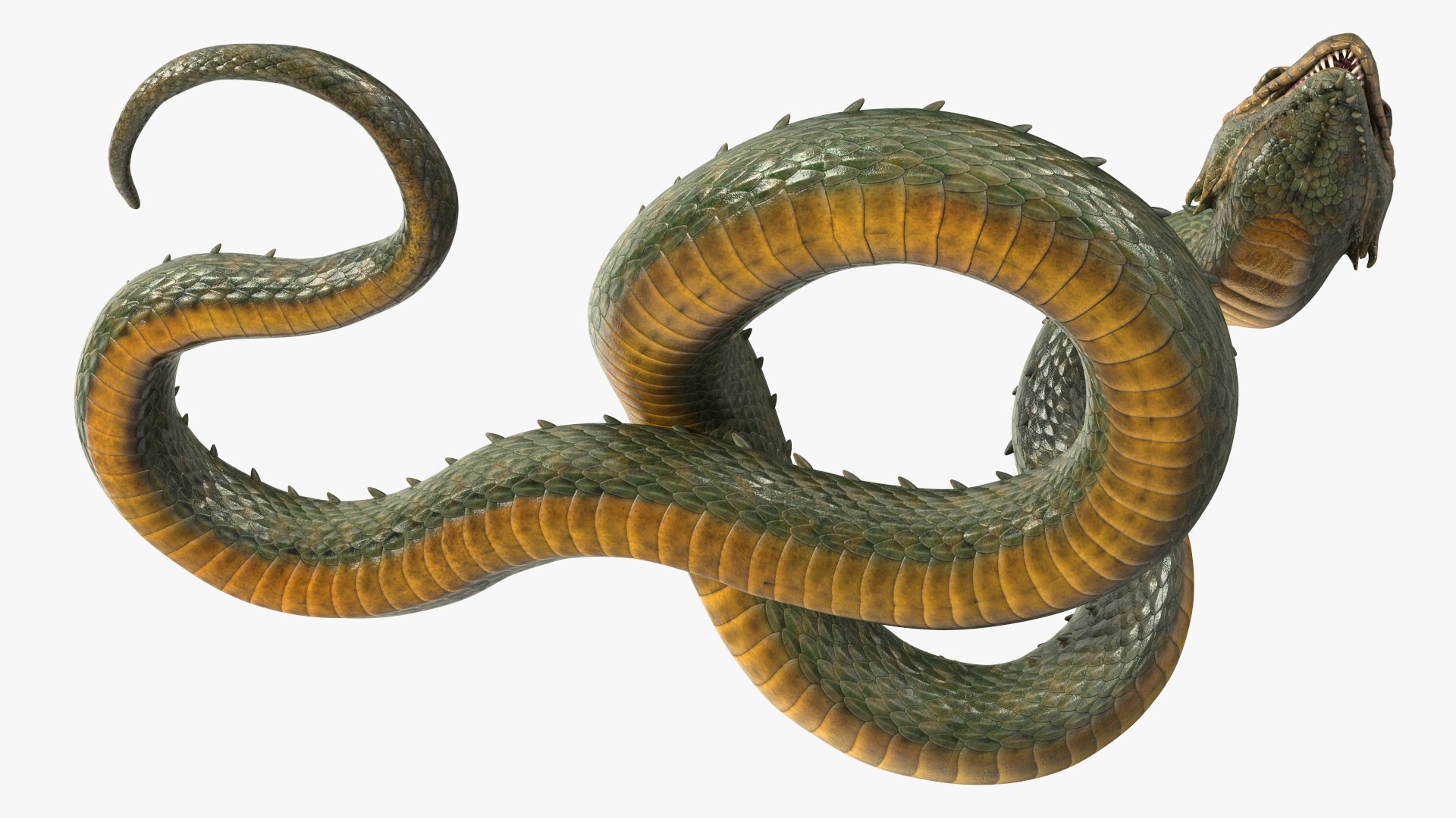 Mythical Serpentine Dragon Rigged 3D Model - TurboSquid 2212707