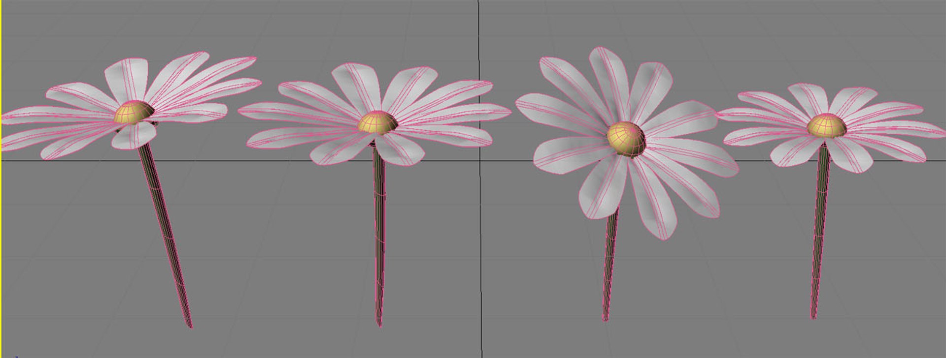 free flower 3d model