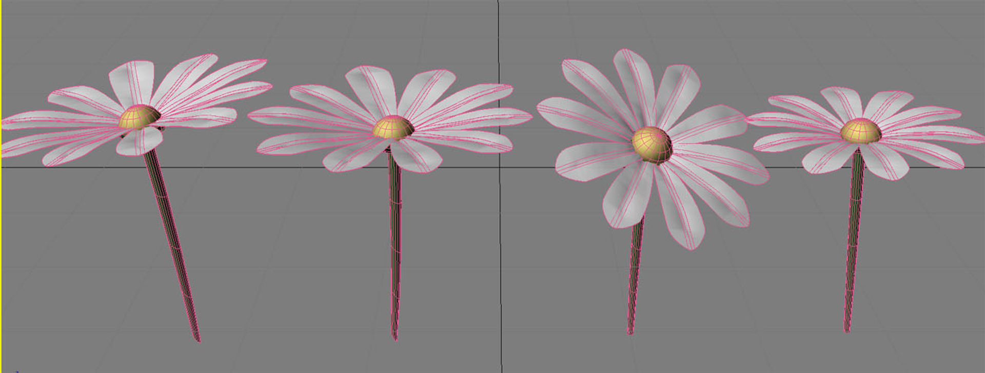free flower 3d model