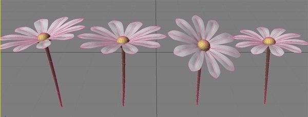 free flower 3d model