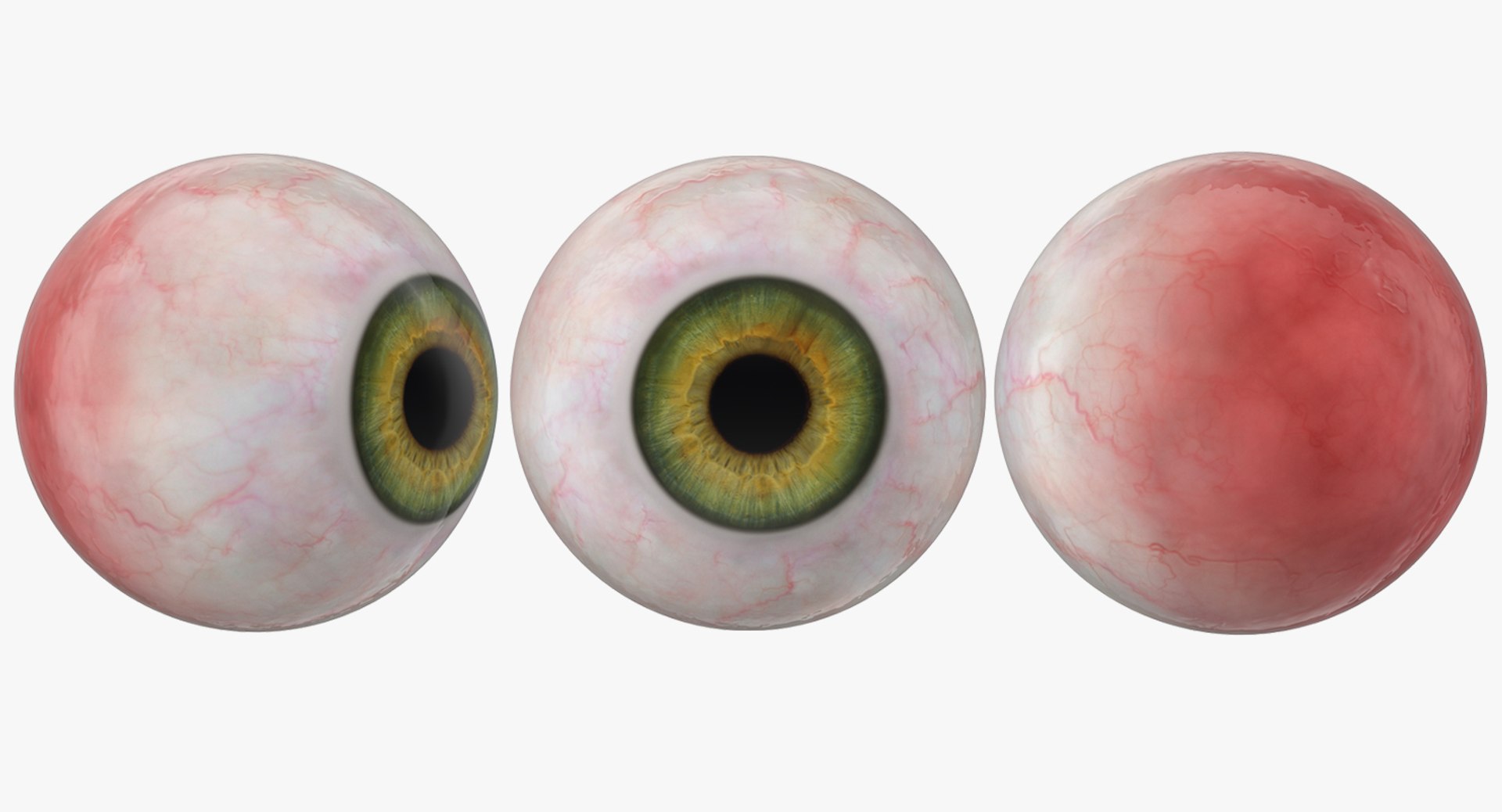 Realistic Human Green Eye 3D Model - TurboSquid 1241360