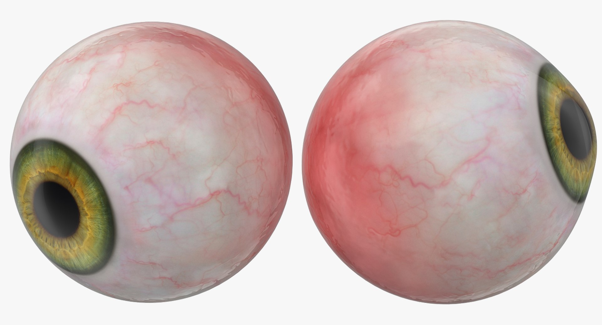 Realistic Human Green Eye 3D Model - TurboSquid 1241360