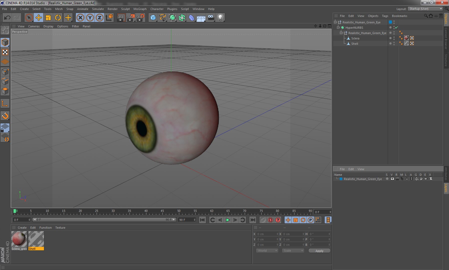 Realistic Human Green Eye 3D Model - TurboSquid 1241360