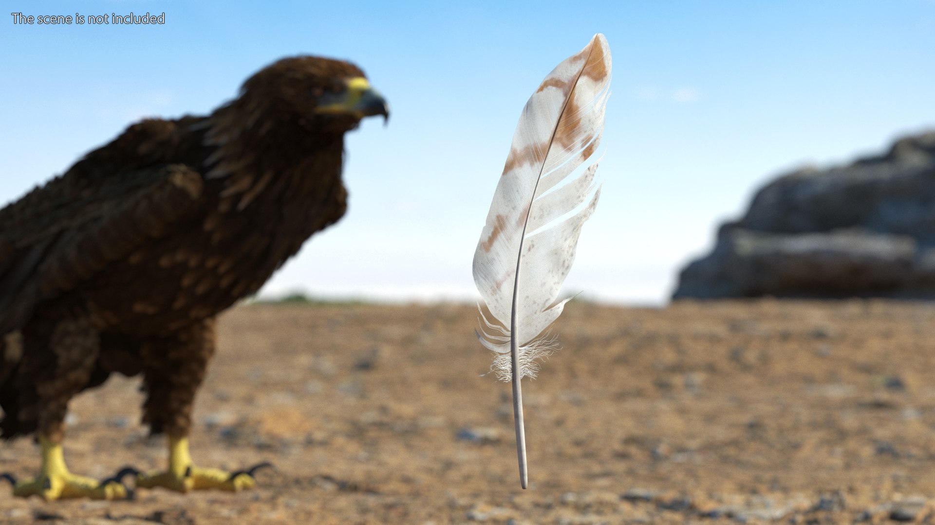 Bird Feathers Collection 2 Model - TurboSquid 2209490