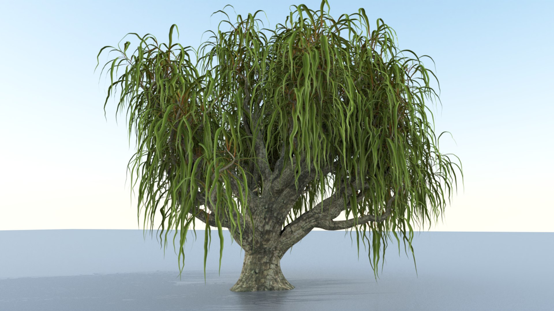Big Tree 3D Model - TurboSquid 1612013