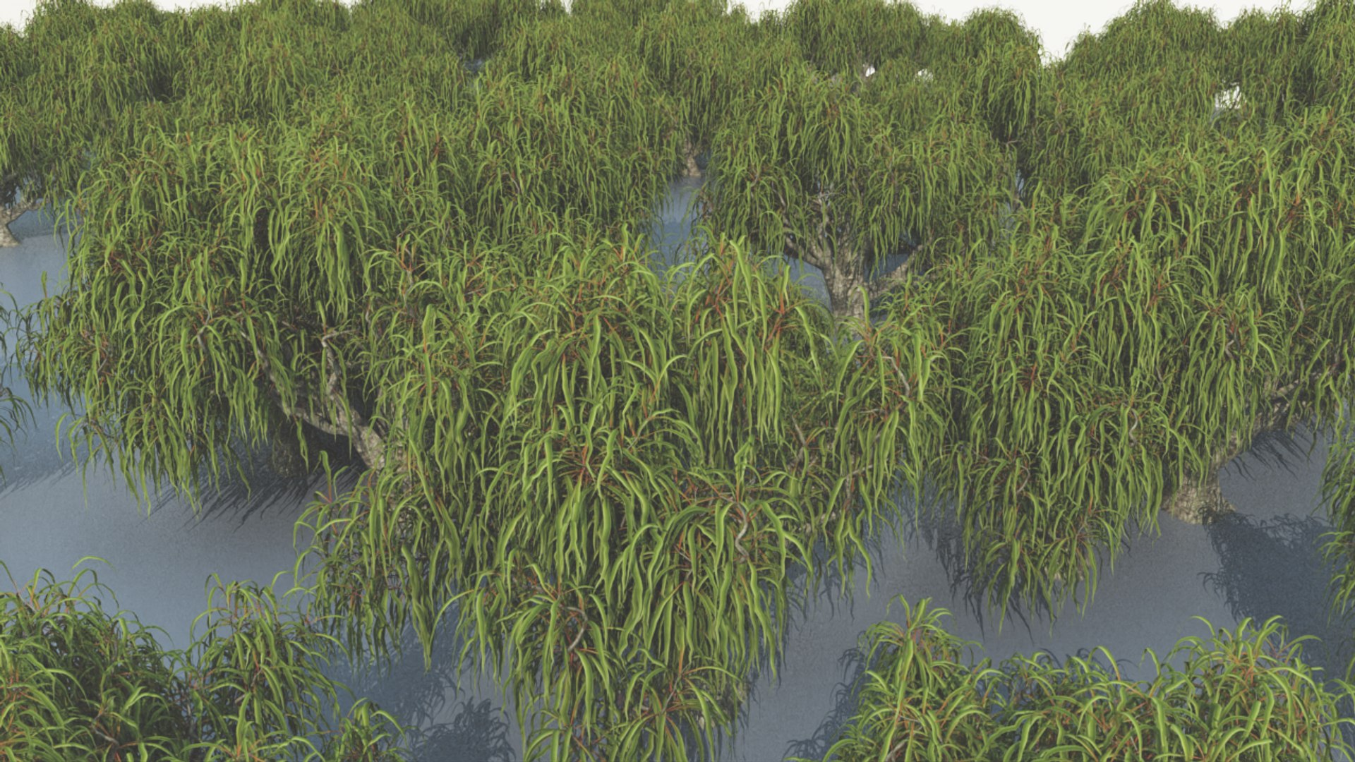 Big Tree 3D Model - TurboSquid 1612013