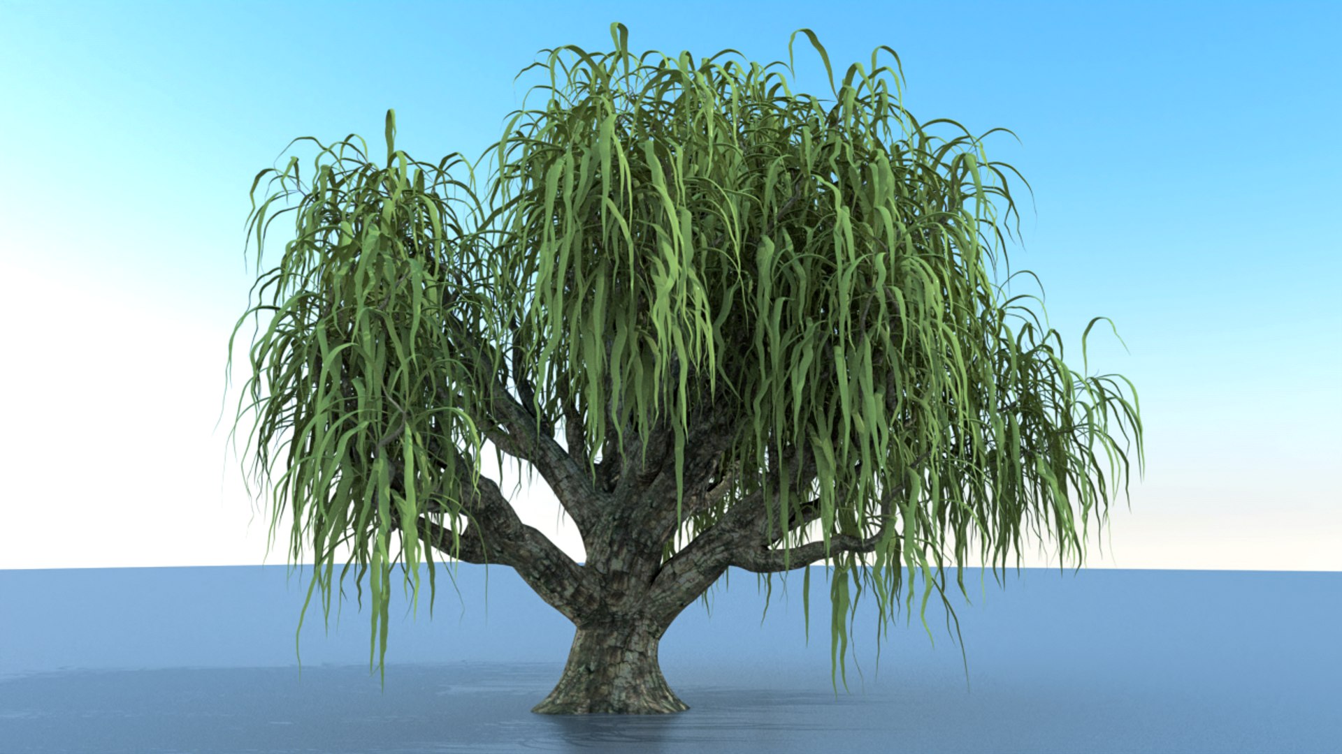 Big Tree 3D Model - TurboSquid 1612013