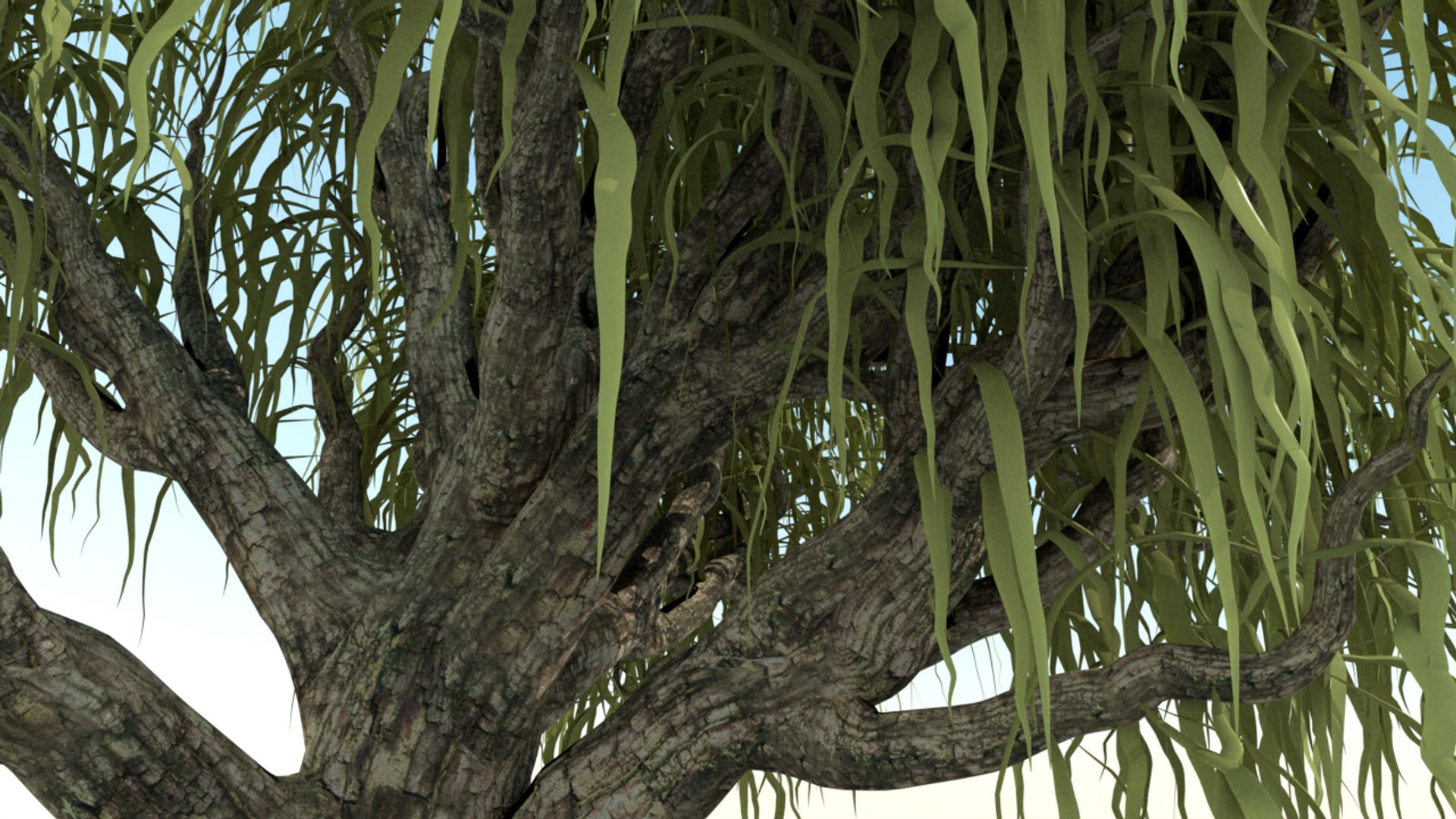 Big Tree 3D Model - TurboSquid 1612013